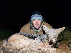 Specialised Night Hunts – Infinito Safaris