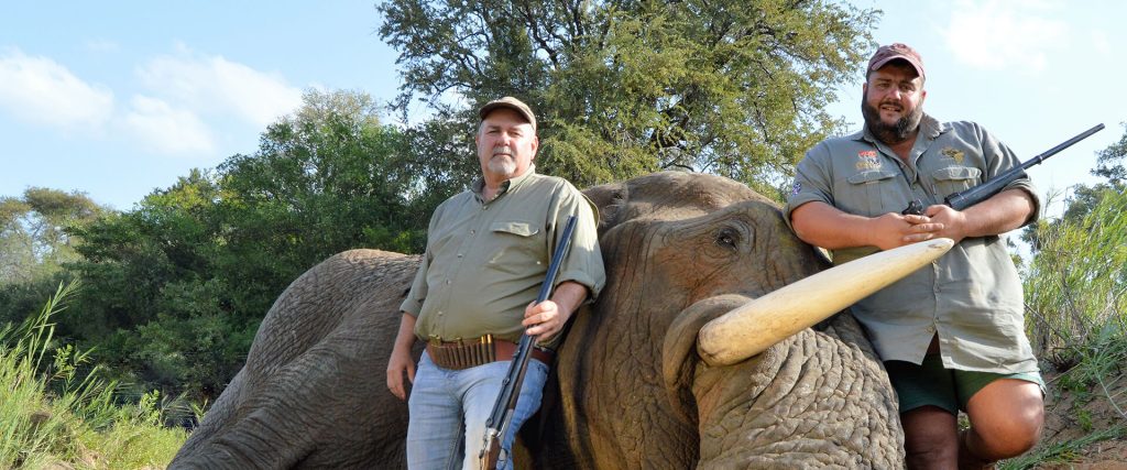 Elephant Hunting – Infinito Safaris